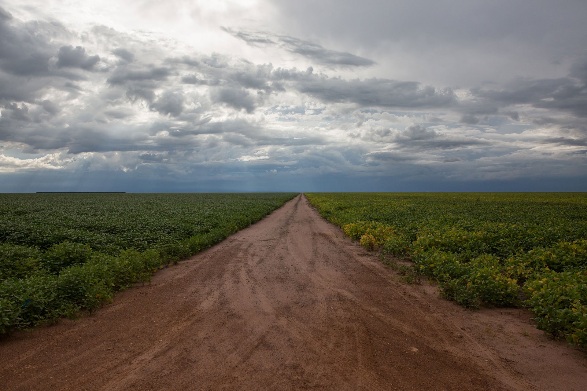 Terra à vista no Matopiba - Agência Pública
