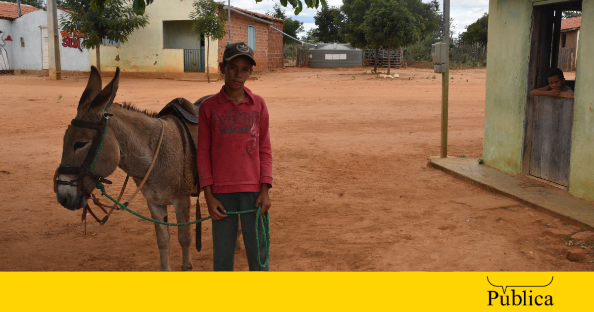 Incitado 4 Photos Of Kapoor & Sons In Betul Ganj, Betul Justdial