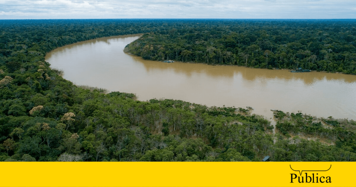 Vale do Javari — terra de conflitos e crime organizado - Agência Pública