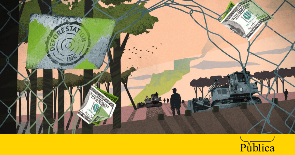 Madeireiras com selo de sustentabilidade tiveram mais de R$ 100 milhões ...