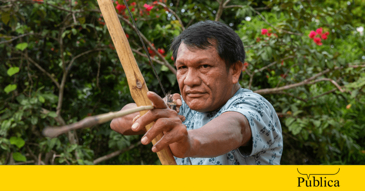 Por que estão matando os indígenas Guajajara - Agência Pública