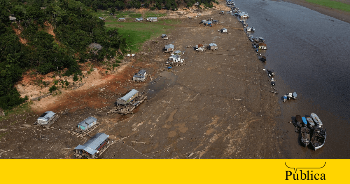 Comunidades no Amazonas relatam falta de socorro durante seca