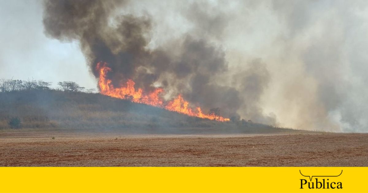 Queimadas em SP: 81% dos focos foram em áreas de agro