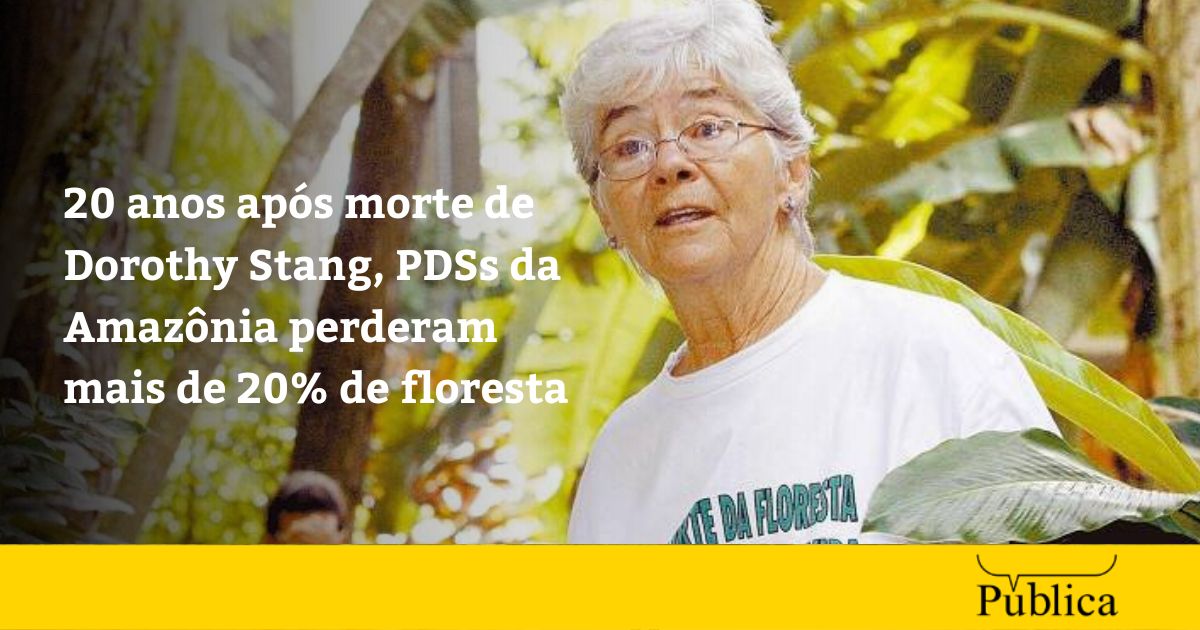 20 anos após morte de irmã Dorothy, o que aconteceu com os PDSs